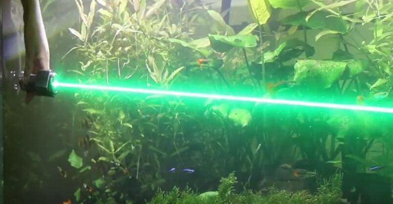 525nm 1W Diving Laser Pointer Video Strong Laser – Laser News, Laser ...