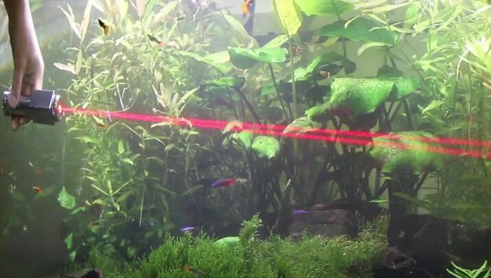 638nm 2.1W Diving Laser Pointer Video Double Beam – Laser News, Laser ...